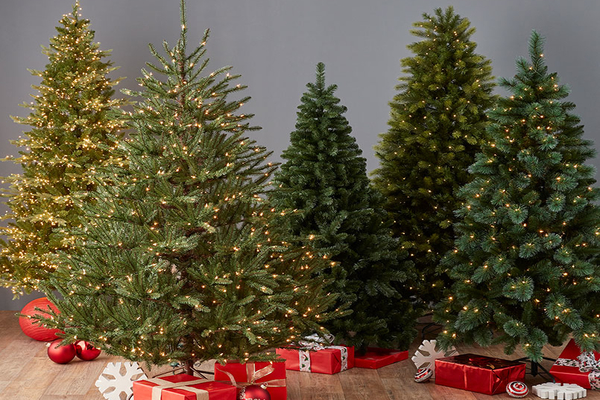 Guardsmen Christmas Tree Lot啟動 - News for Chinese － 舊金山灣區No.1免費華人社區報紙