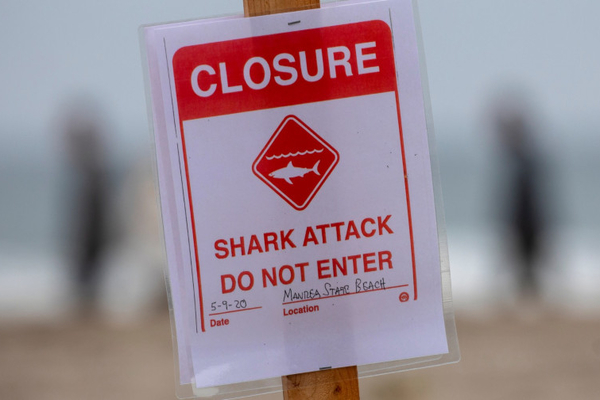 Santa Cruz縣鯊魚襲擊遇難者死因公佈 – News for Chinese － 舊金山灣區No.1免費華人社區報紙